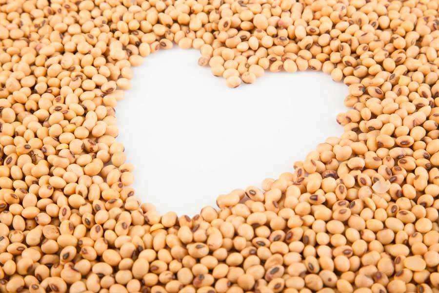 5 Beneficios de la soja y cómo añadirla a nuestra dieta – Casa Perris