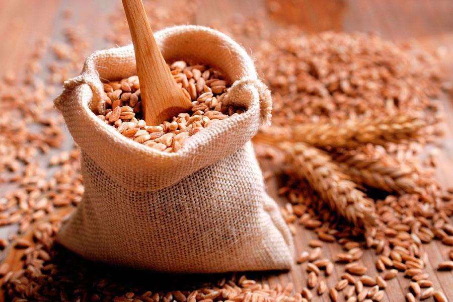 La espelta, beneficios y cómo consumirla – Casa Perris