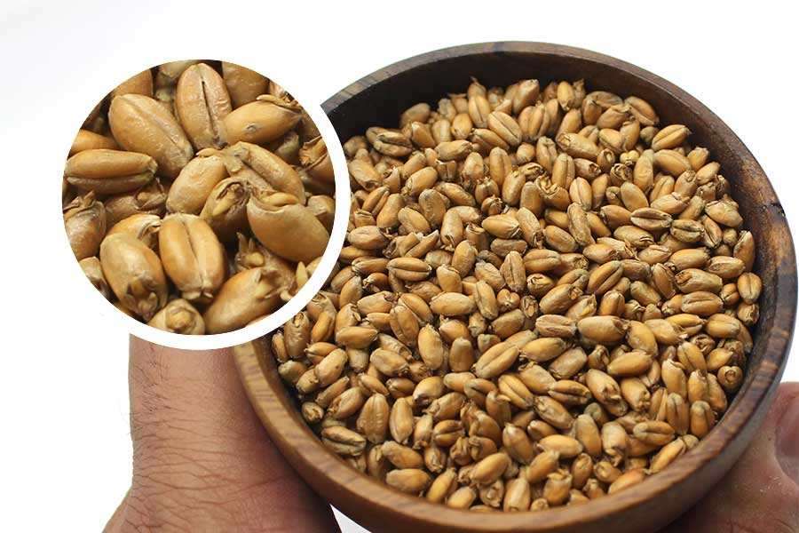 Trigo germinado: qué es, cómo cocinarlo y cuáles son sus beneficios ...