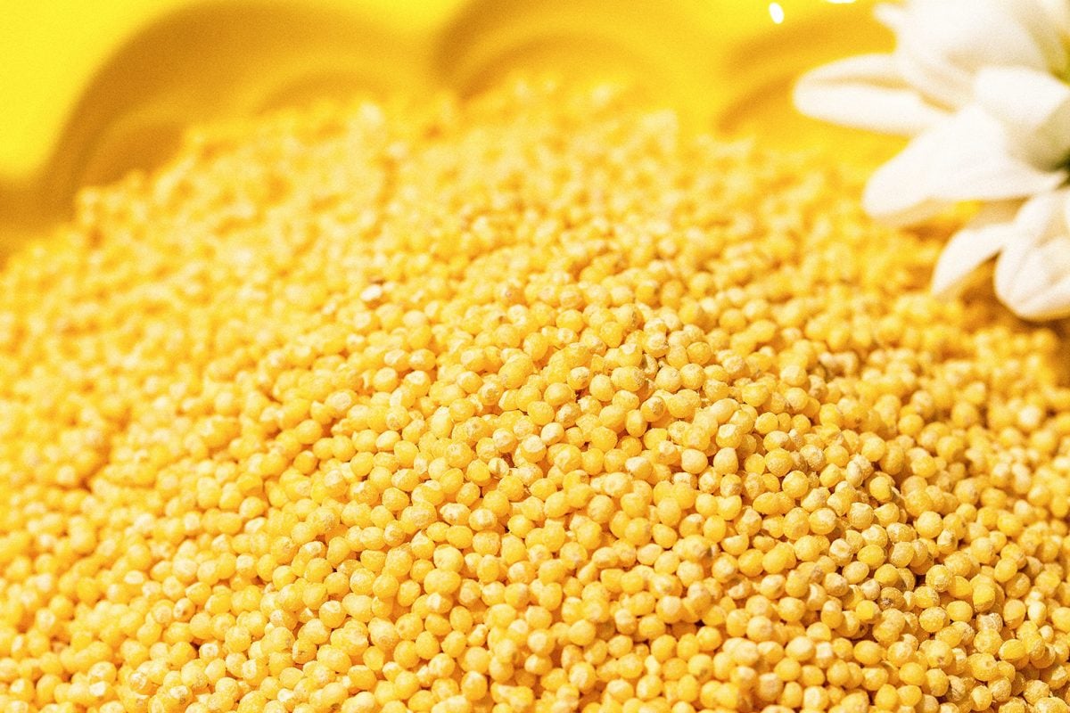 Millet Benefits, properties and how to consume it! – Casa Perris