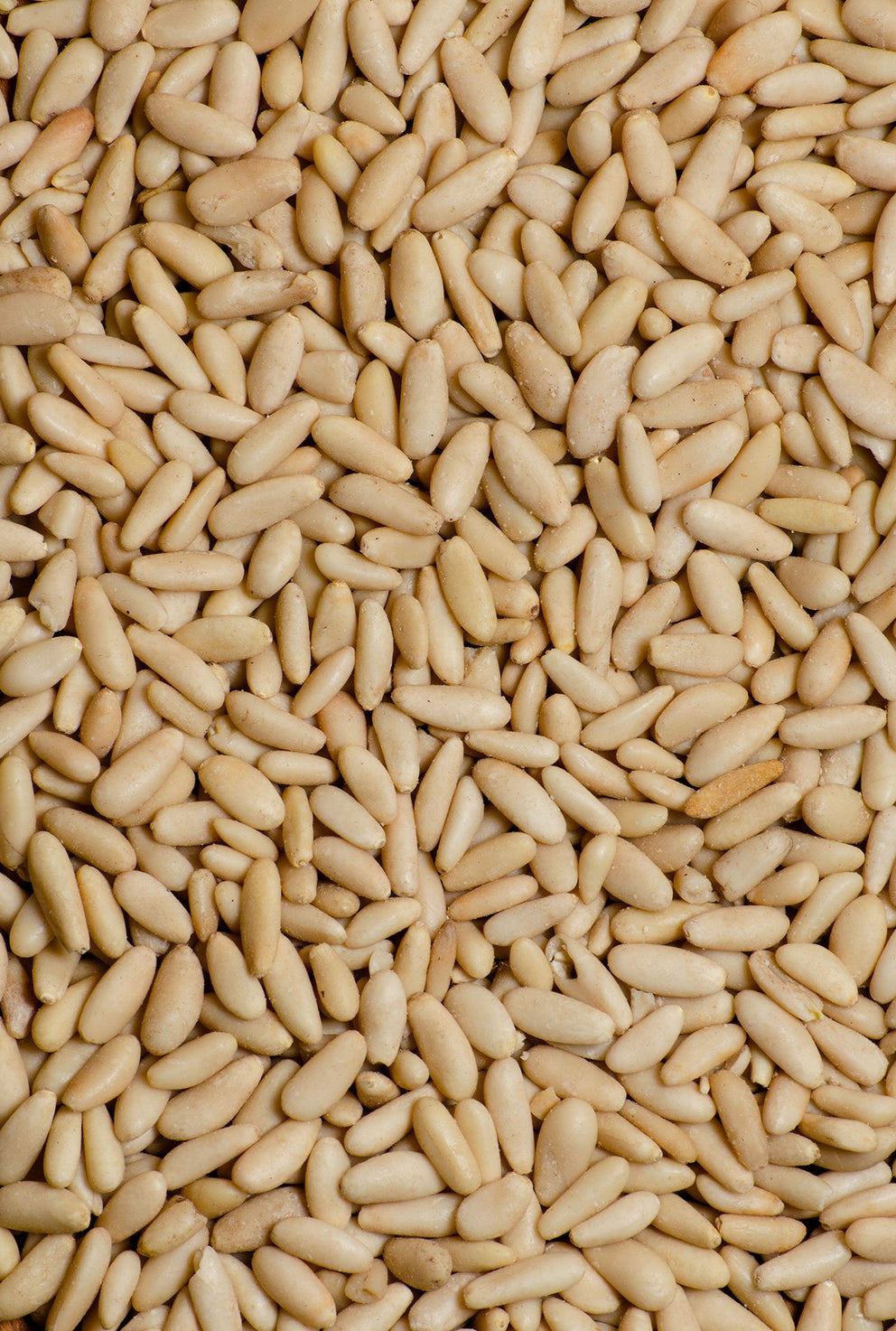 Panellets – Casa Perris